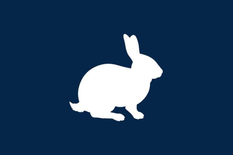 White Rabbit Dream Symbolism & Meaning - Dreams Guide Me