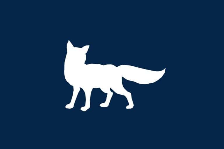 Dream About Fox Symbolism and Meanings